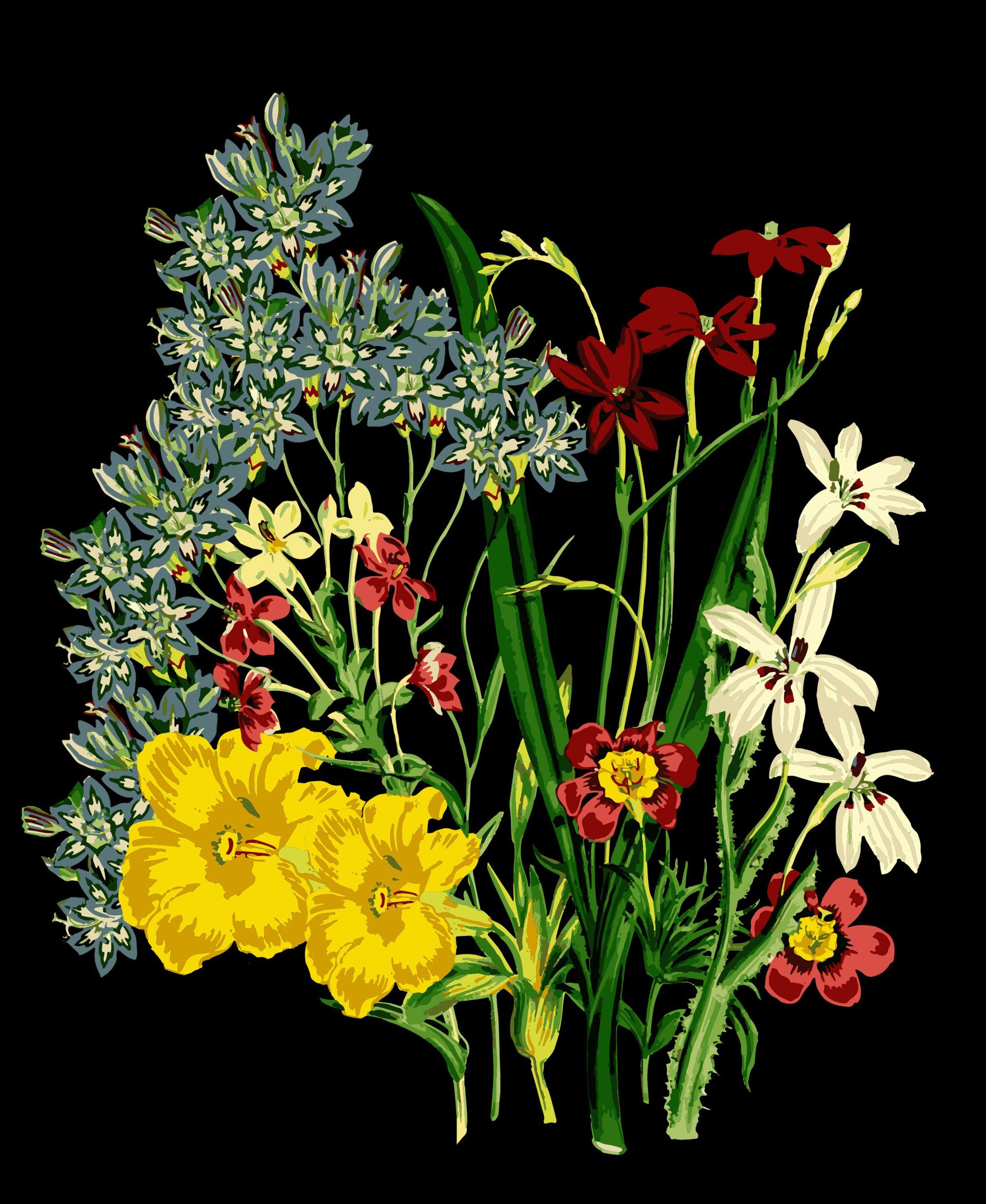 Ilustrações Vetorizadas