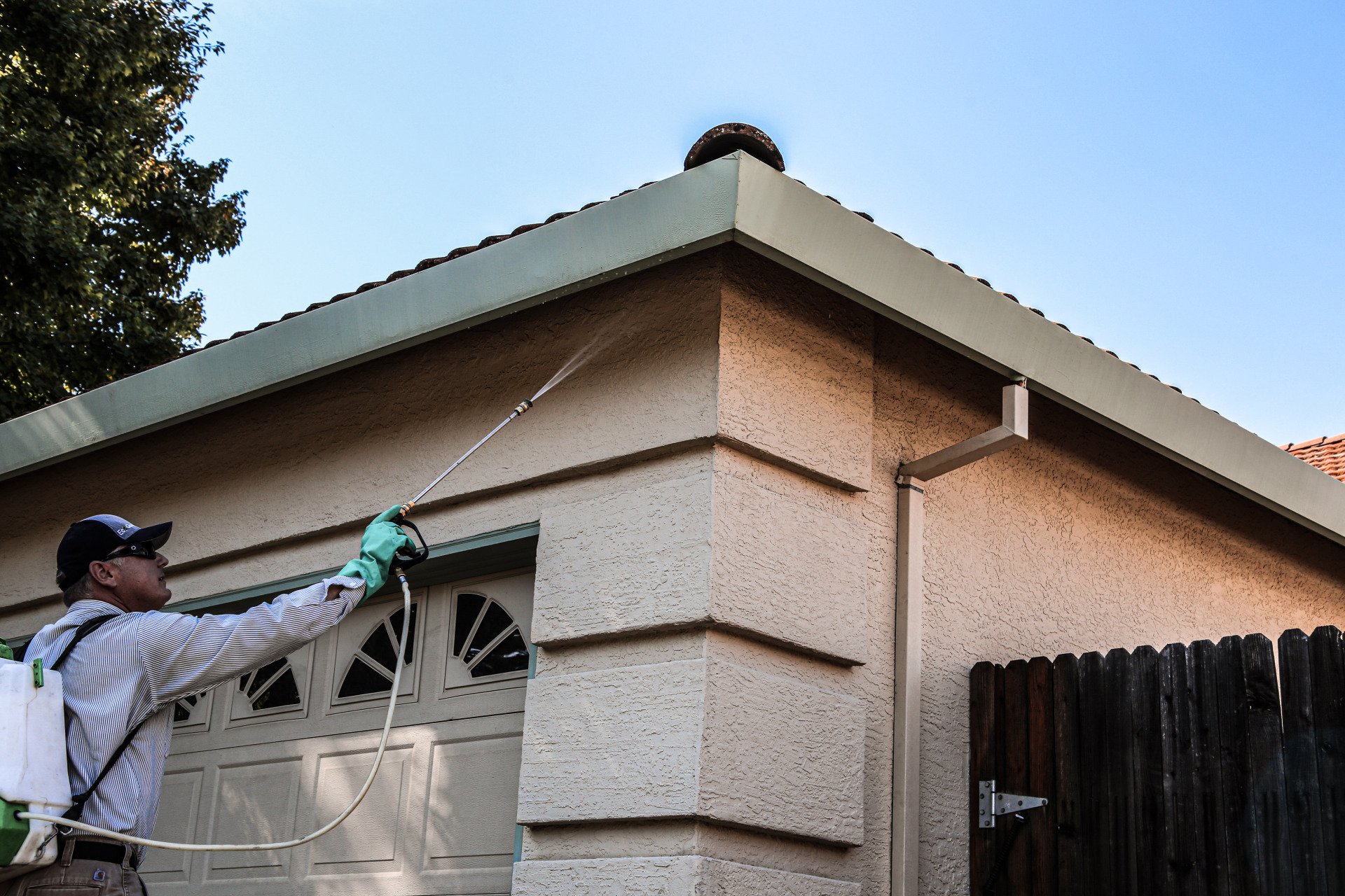 Residential Pest Control San Diego