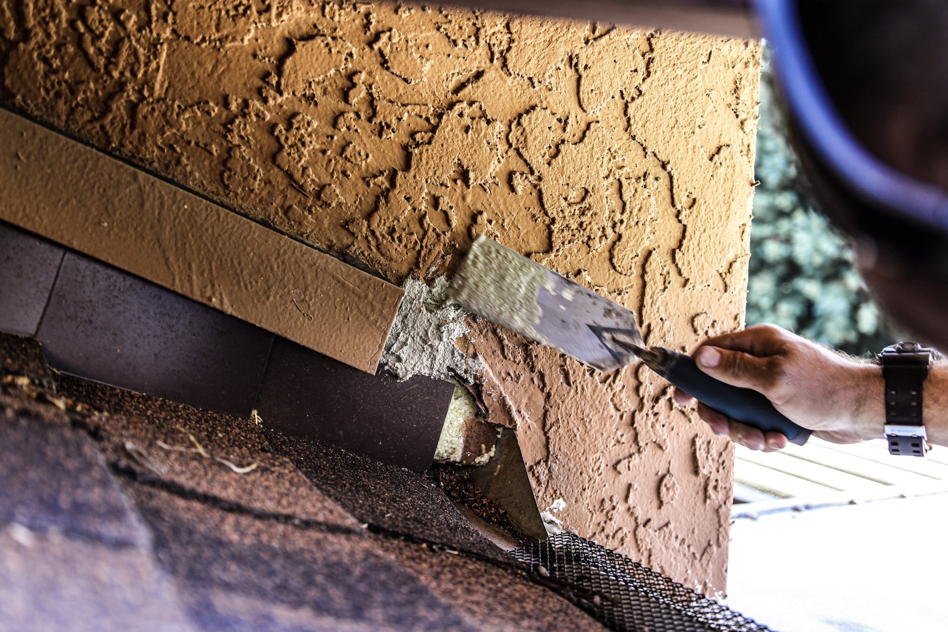 Rodent Control San Diego