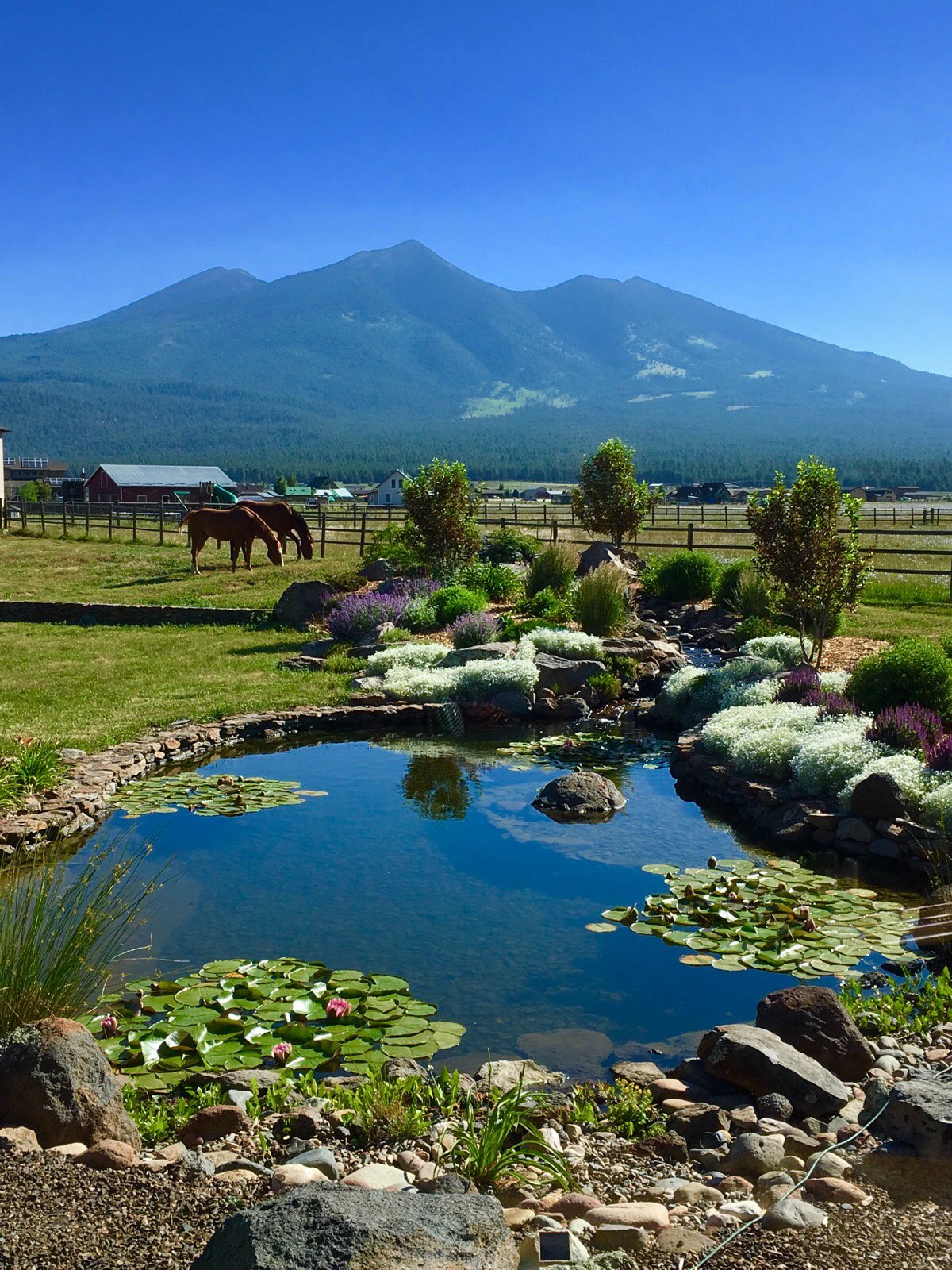 Landscape Pictures | Flagstaff, AZ | Lowe's Landscaping
