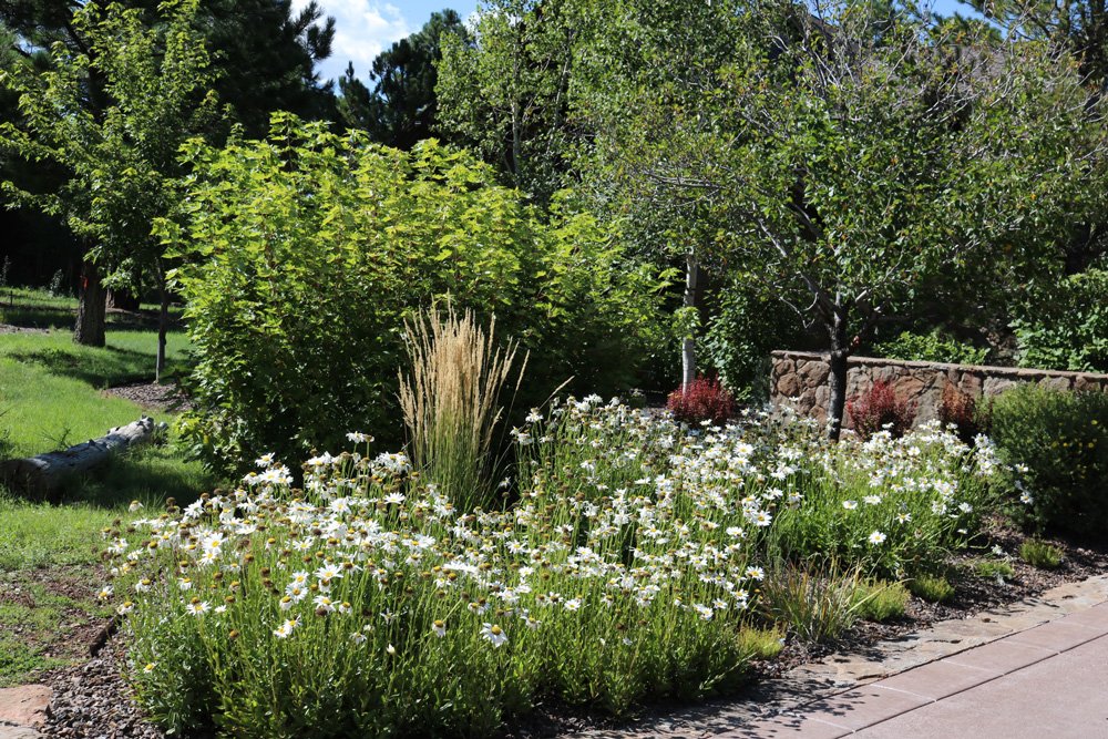 Landscape Pictures | Flagstaff, AZ | Lowe's Landscaping