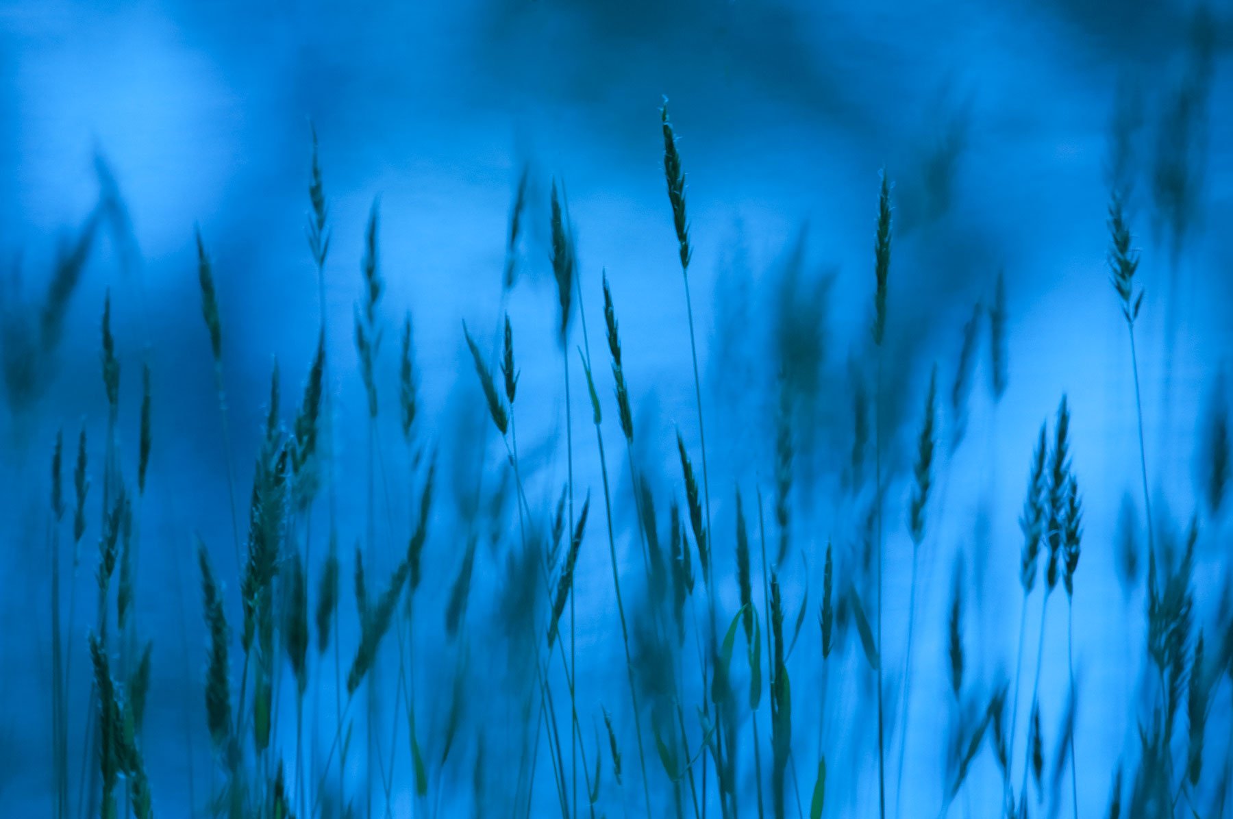 JFM Photography