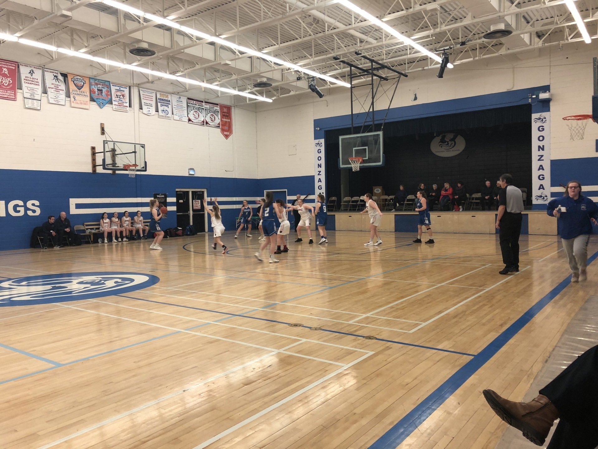 Newfoundland Labrador Basketball Association (NLBA)