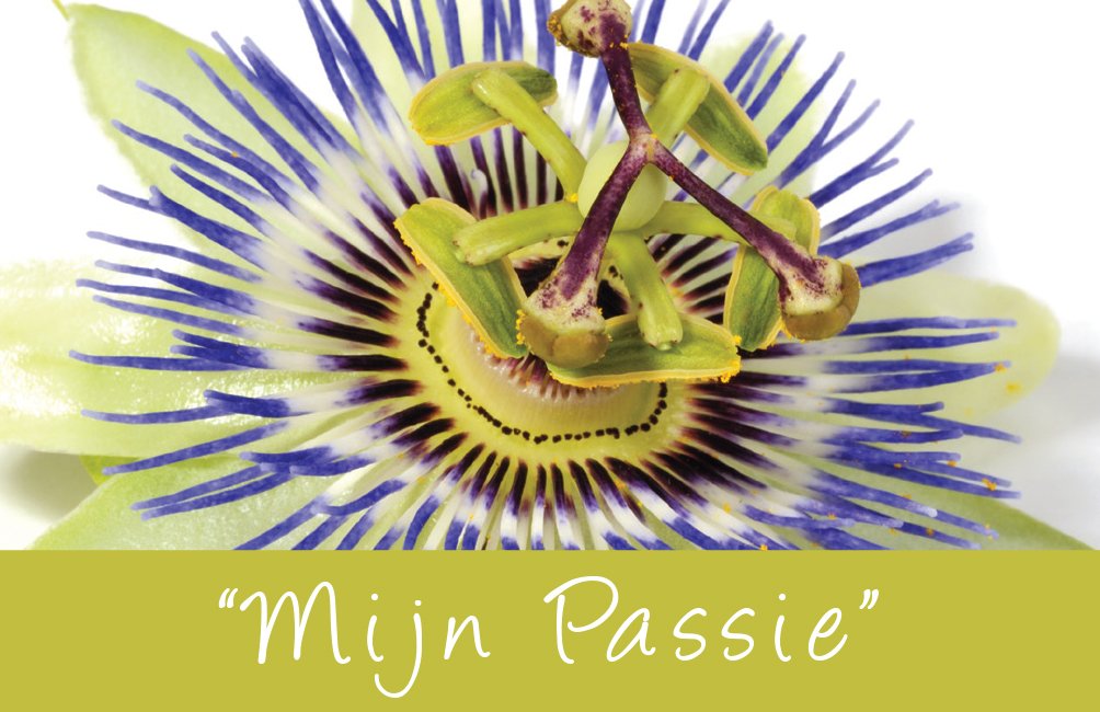 Home [mijn-passie.nl]