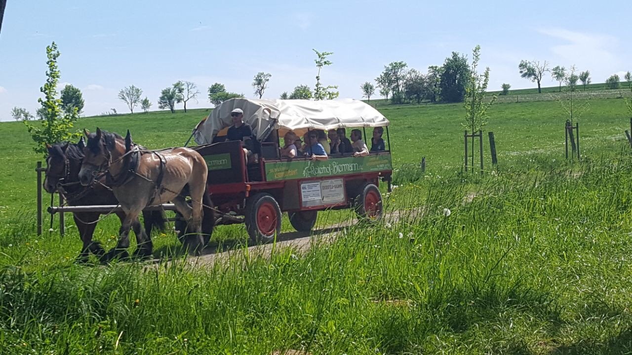 Reiterhof Biermann - Ihr familienfreundlicher Reiterhof