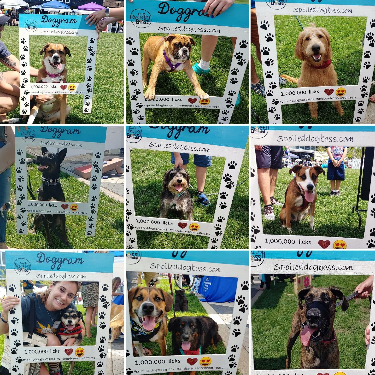 PET world records | World Record Academy