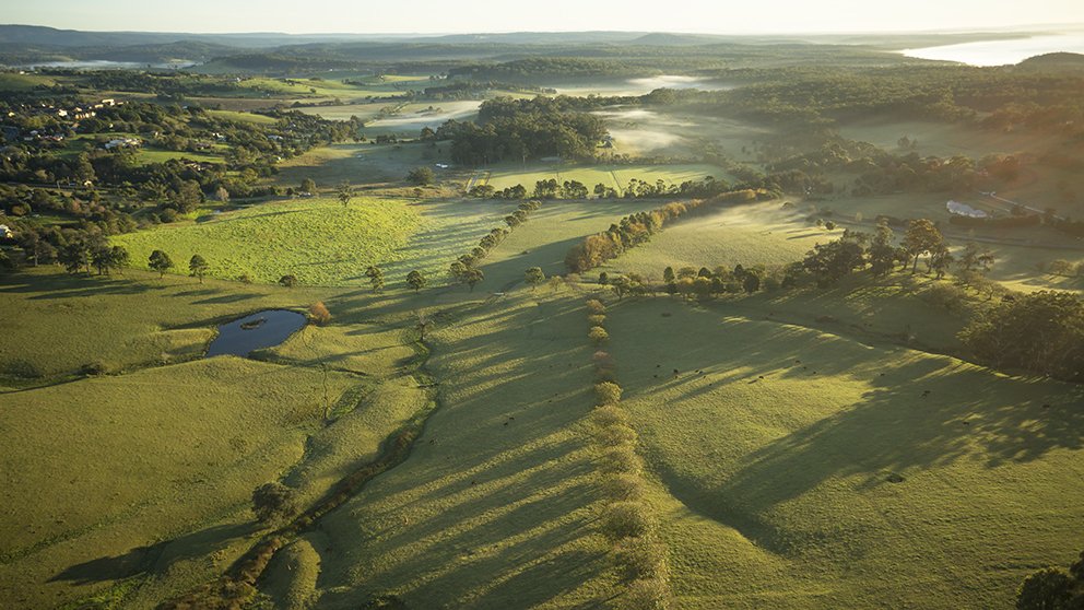 Welcome to Milton Valley Holiday Park | Milton Tourist Park