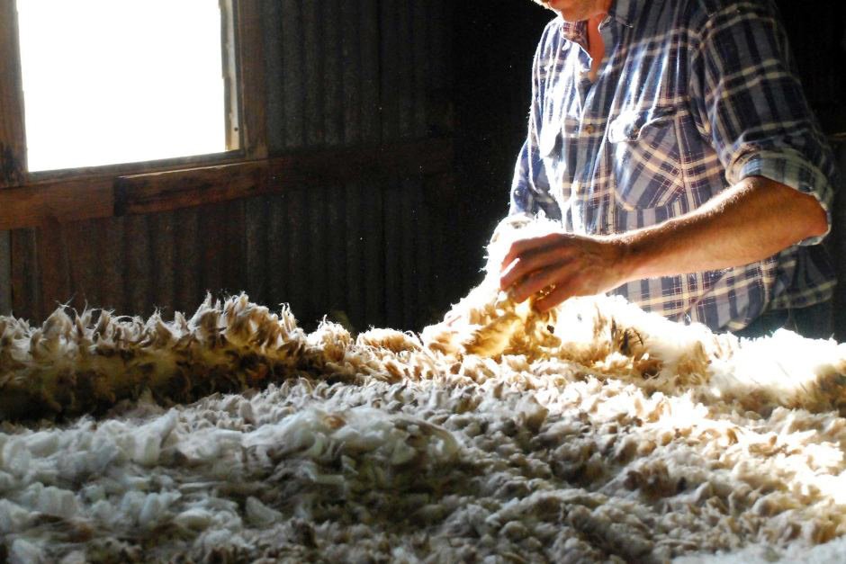 DYNON WOOLS | Wool Brokers & Exporters