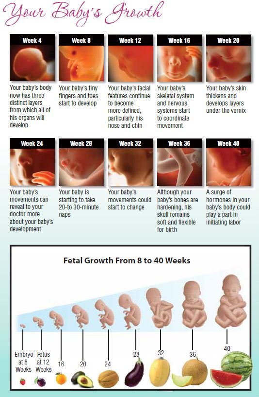 Obstetrics | Manchester, NH | Manchester Ob/Gyn Associates
