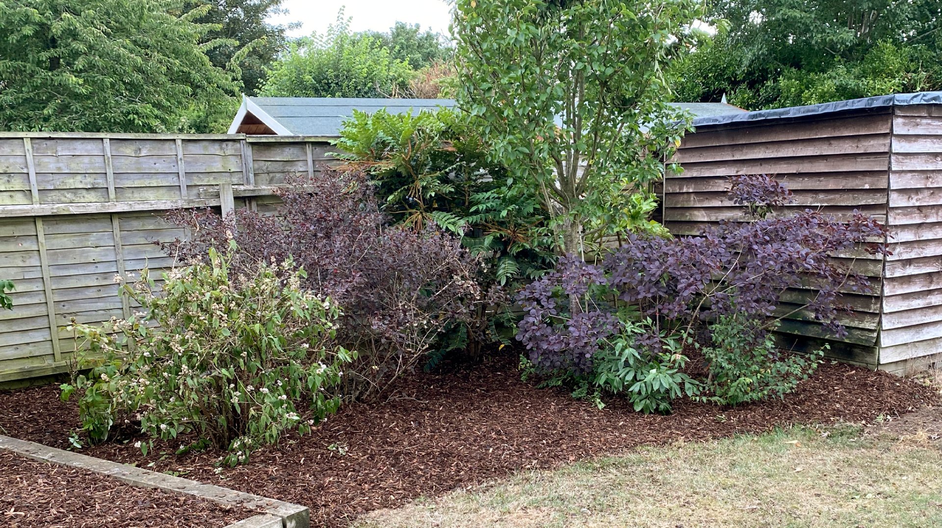 gro-garden - garden design Ipswich, landscaping Ipswich