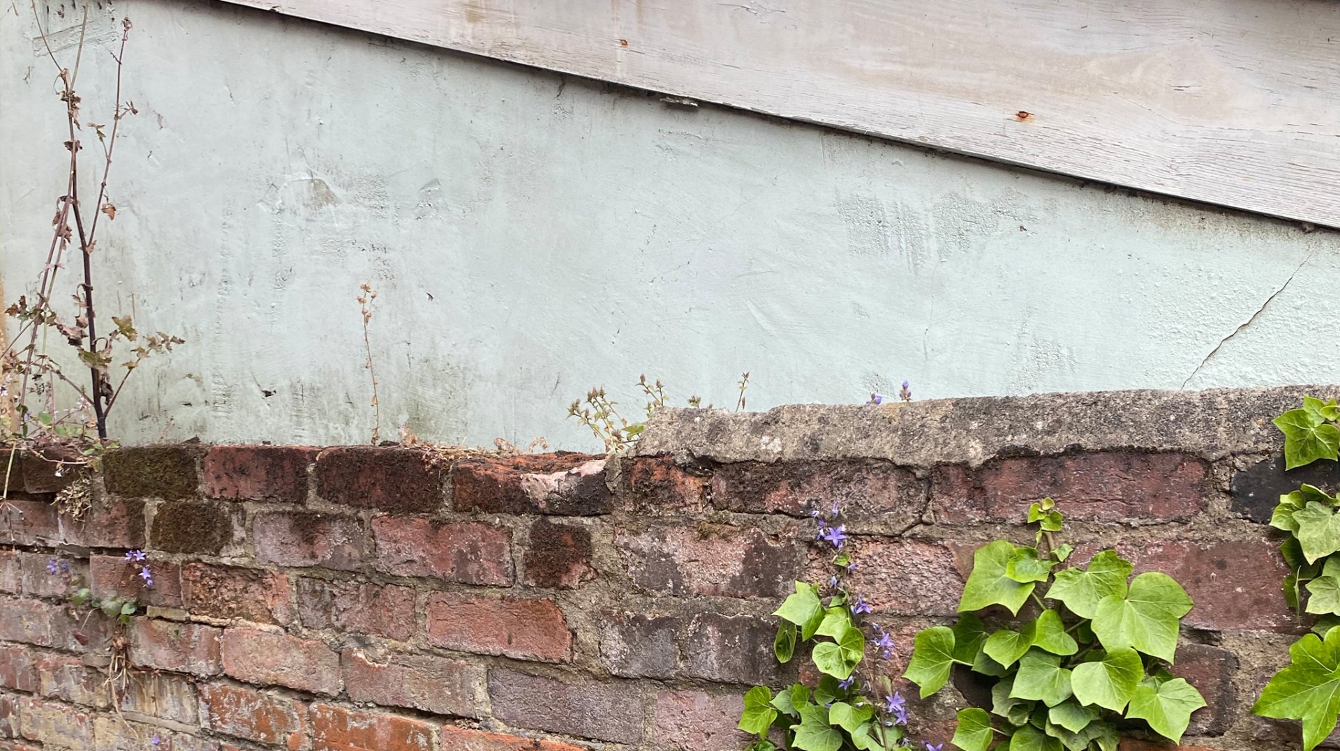 gro-garden - garden design Ipswich, landscaping Ipswich