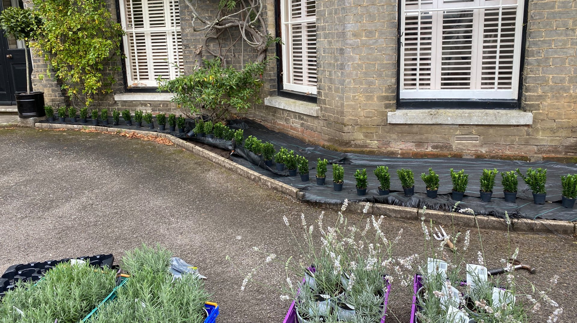 gro-garden - garden design Ipswich, landscaping Ipswich