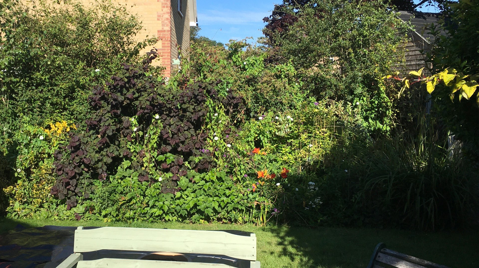 gro-garden - garden design Ipswich, landscaping Ipswich