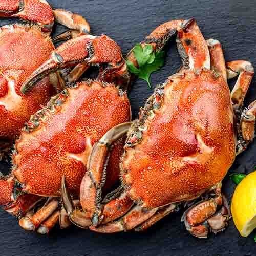 Fish Market in Darwin | Darwin Fish Market