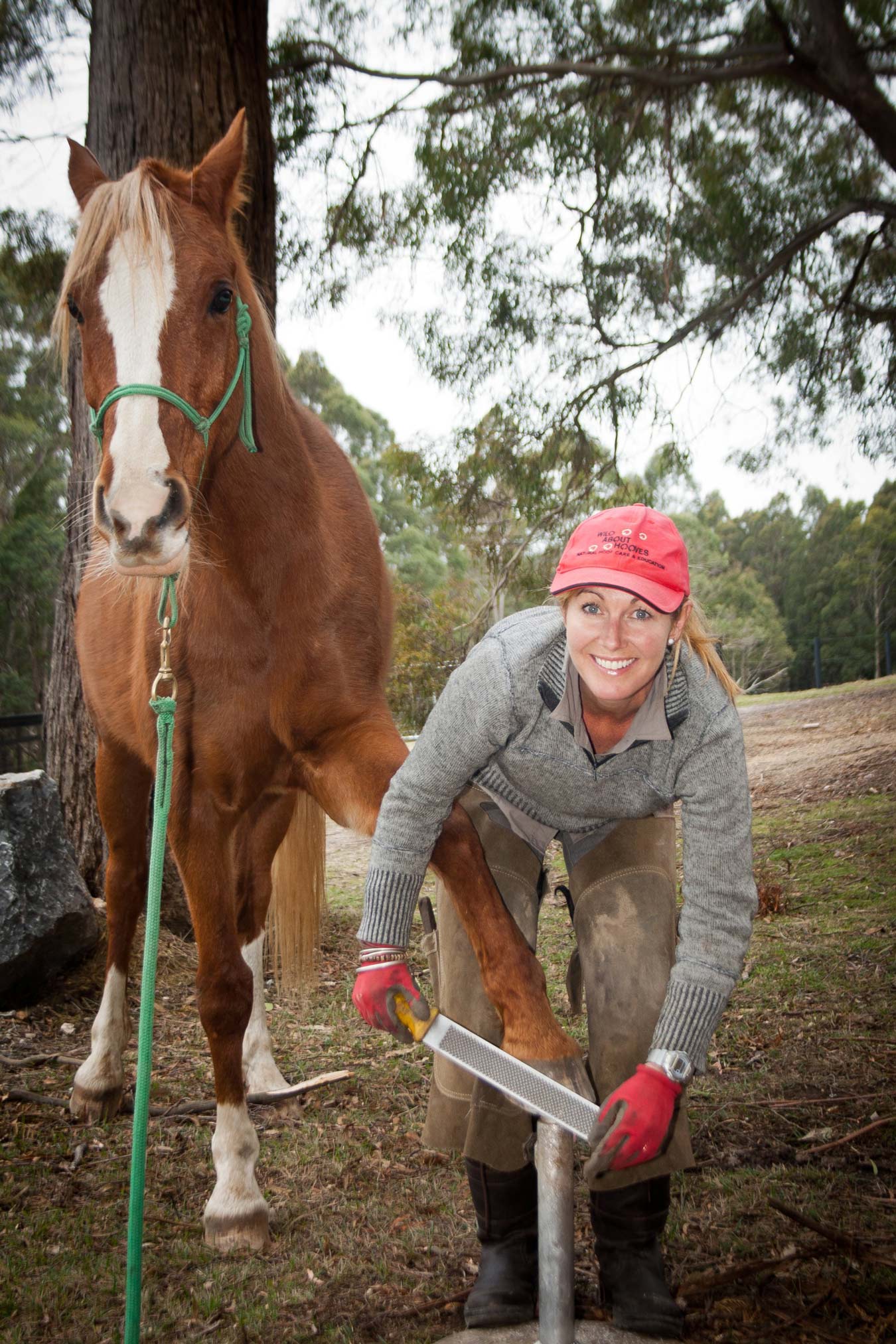 About/Blog – Wild About Hooves