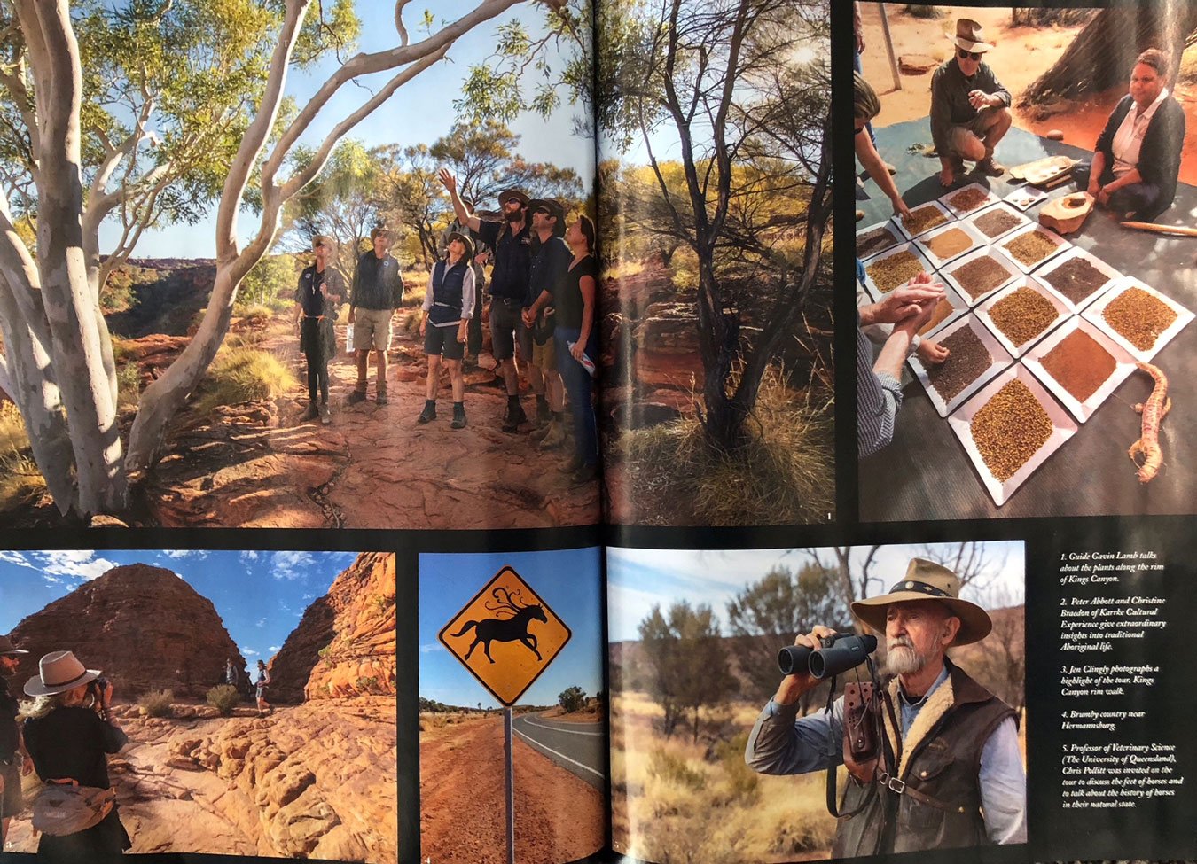 OUTBACK MAGAZINE – BRUMBY TOUR