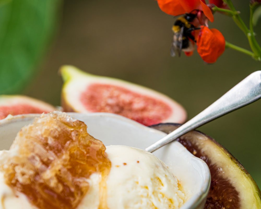 PURE Flavours | Artisan Ice Cream