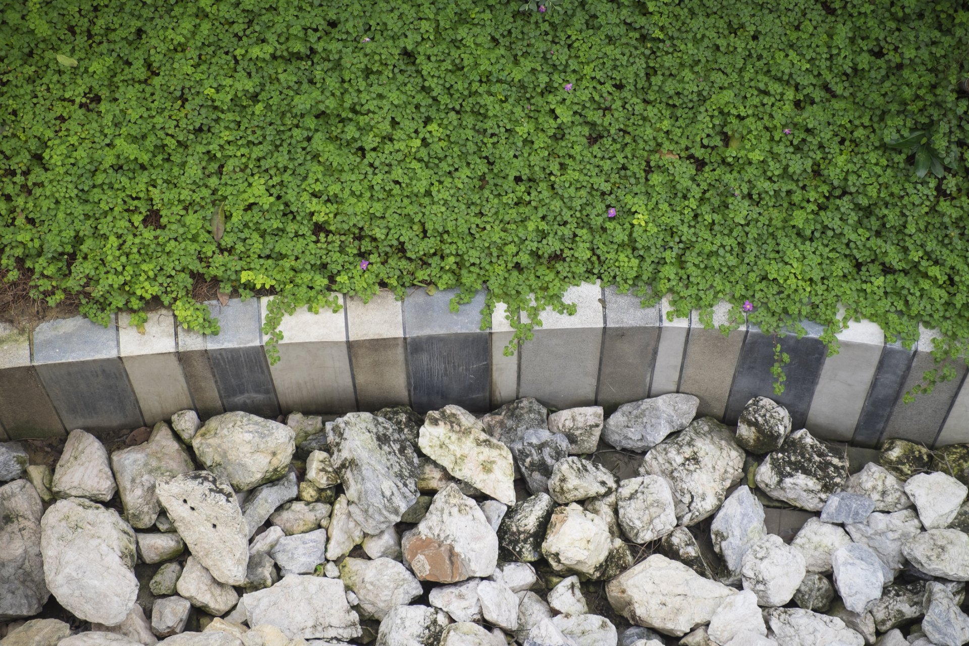 Affordable Landscaping | Bellingham, WA | Artistic Design Landscape