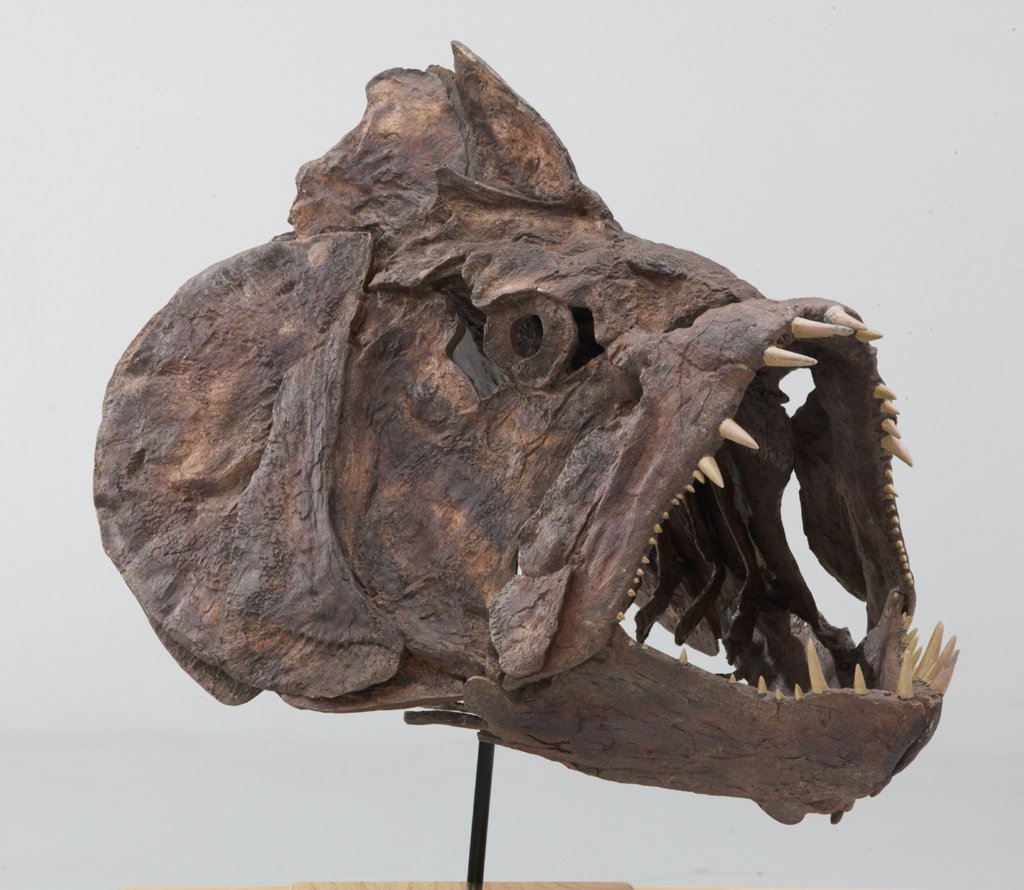 CTF Mobile Museum of Earth History