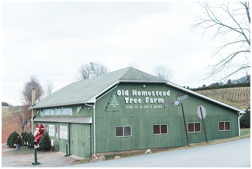 Old Homestead Tree Farm | Find Your Perfect Tree