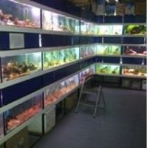Aquatics from Fish Alive