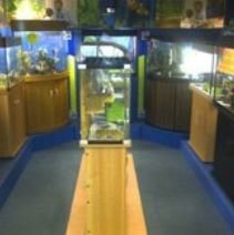 Aquatics from Fish Alive