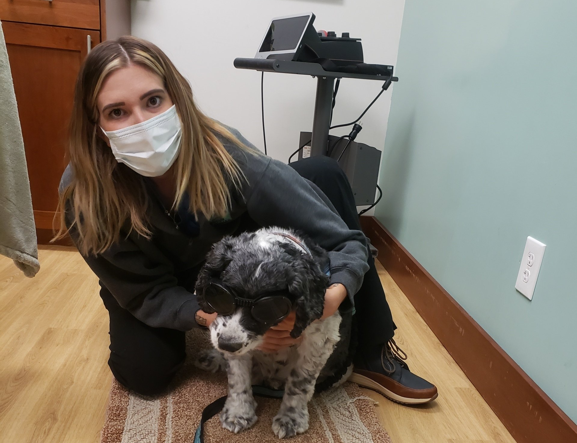 Vet Services | Marion, IA | Meier Veterinary Clinic