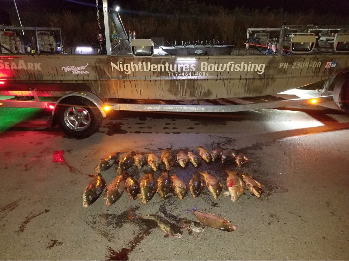 Night Time Bowfishing Adventures | Lancaster County, PA | Night ...