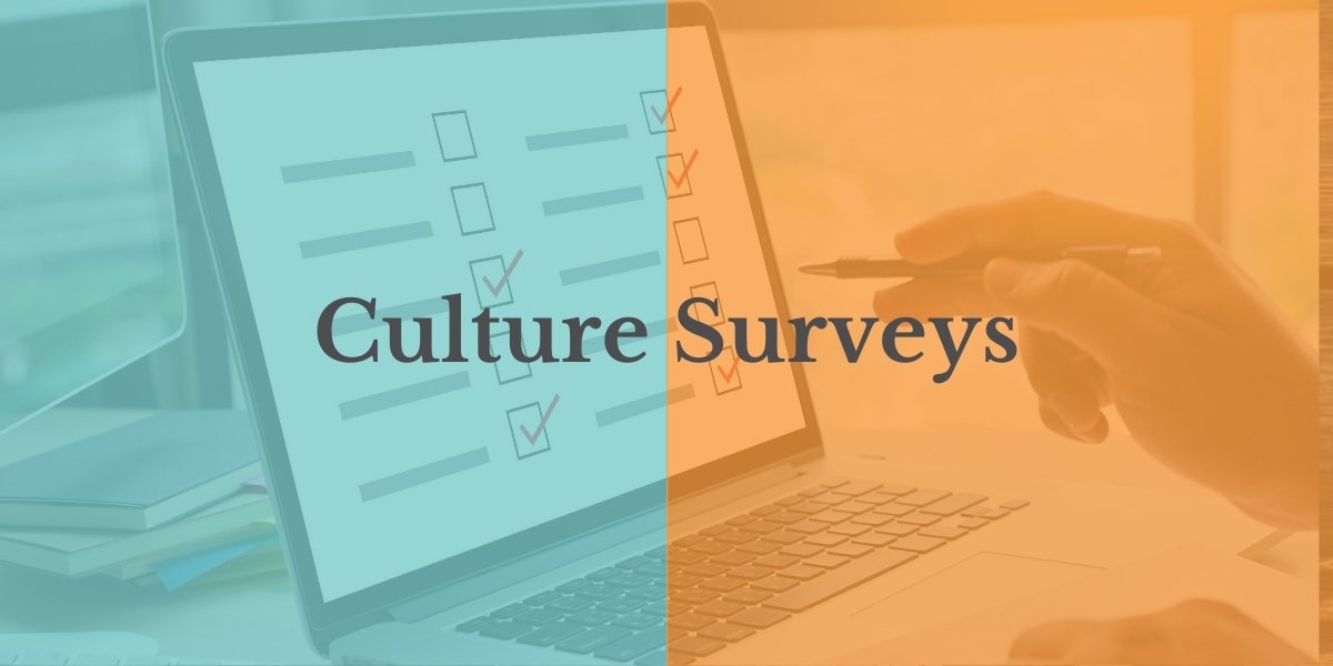 Best Organizational Culture Surveys Available For Your Company or Team