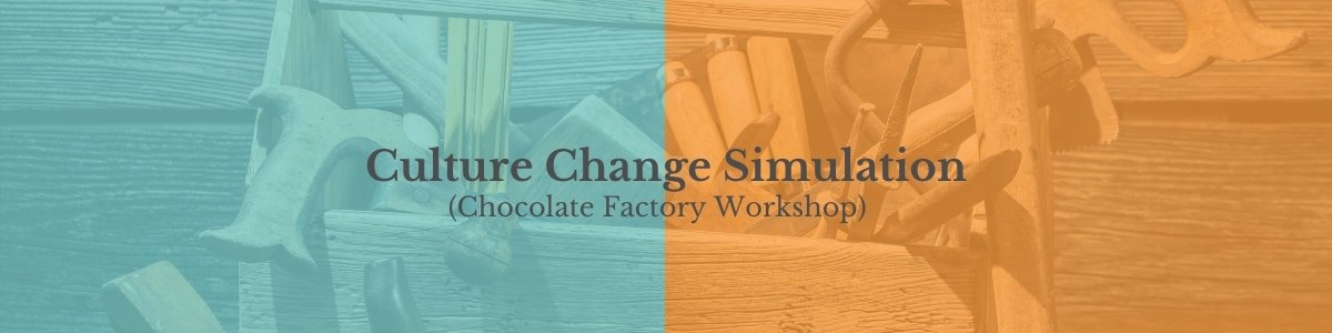 Culture Change Simulation