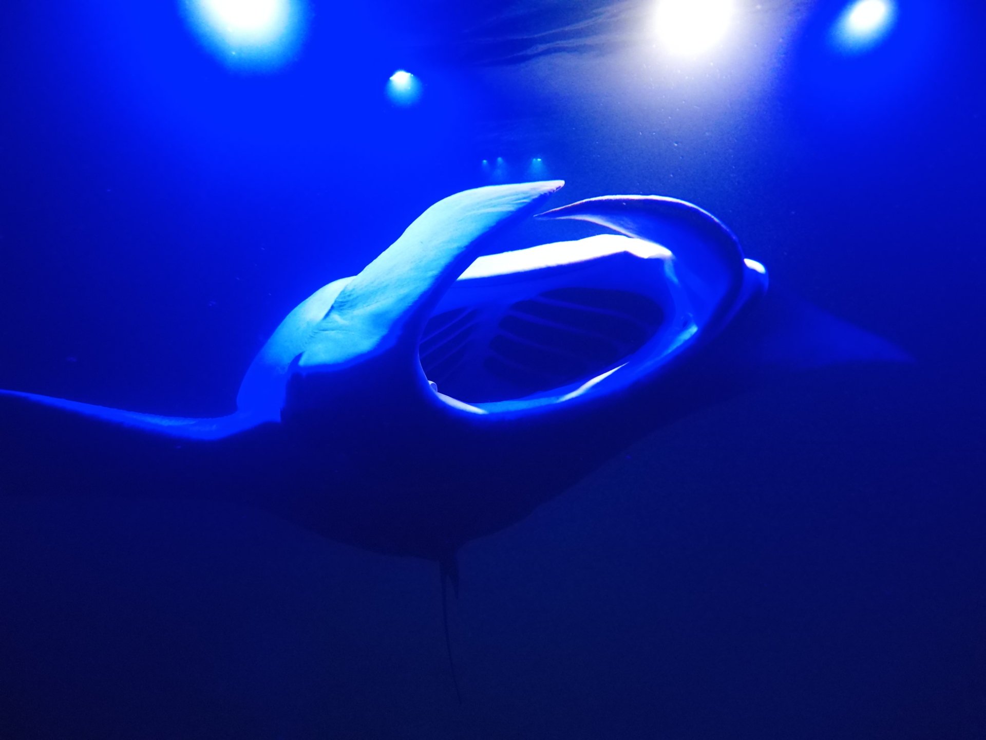 Photo Gallery | Anelakai Adventures