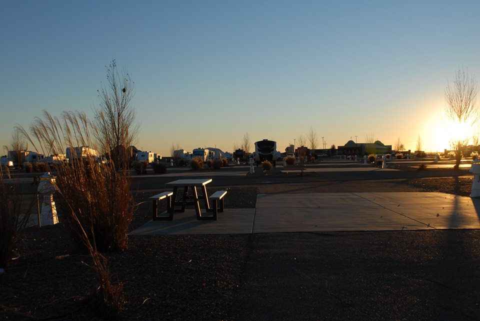 Gallery Oasis RV Resort