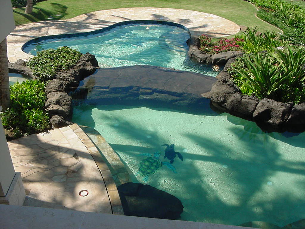 Our Gallery | Pacific AquaScapes Honolulu, Kahului & Kapolei, HI