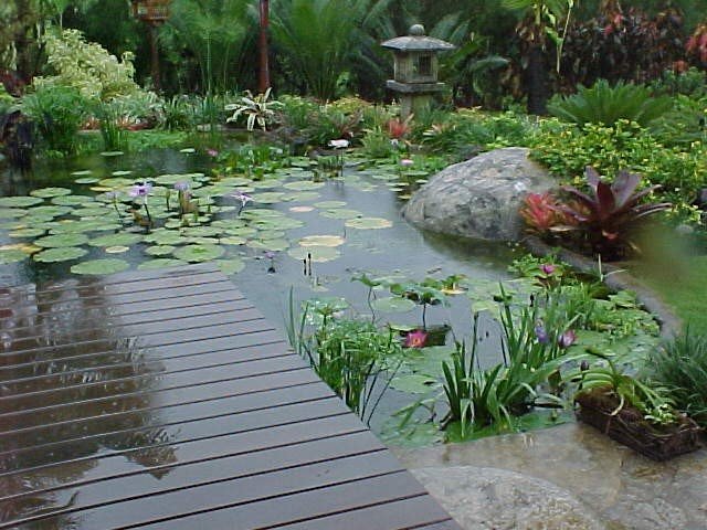 Our Gallery | Pacific AquaScapes Honolulu, Kahului & Kapolei, HI