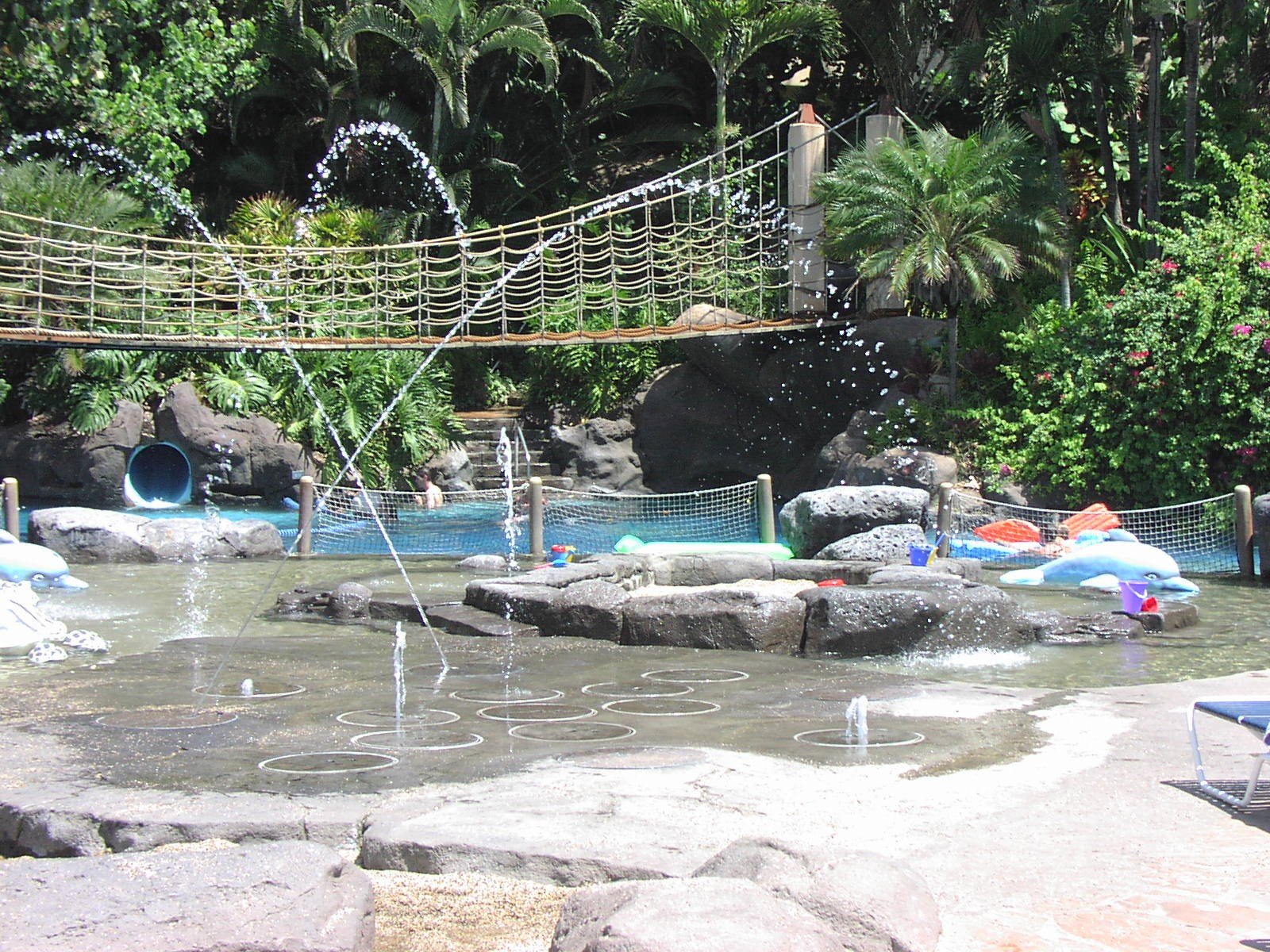 Our Gallery | Pacific AquaScapes Honolulu, Kahului & Kapolei, HI