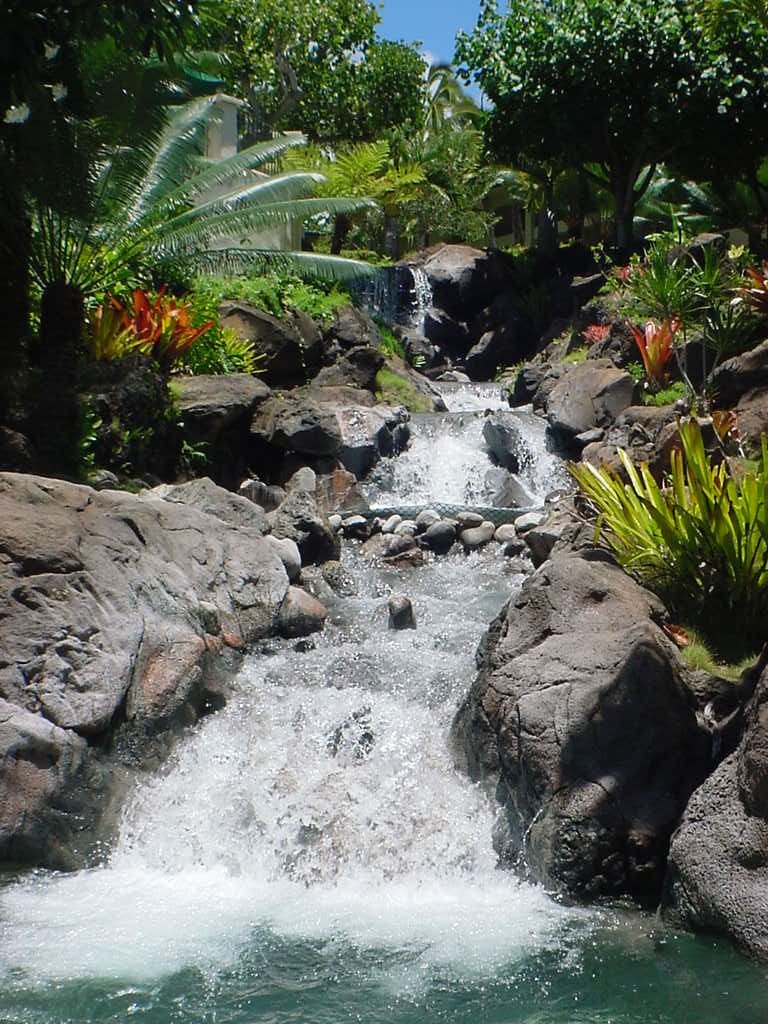 Our Gallery | Pacific AquaScapes Honolulu, Kahului & Kapolei, HI