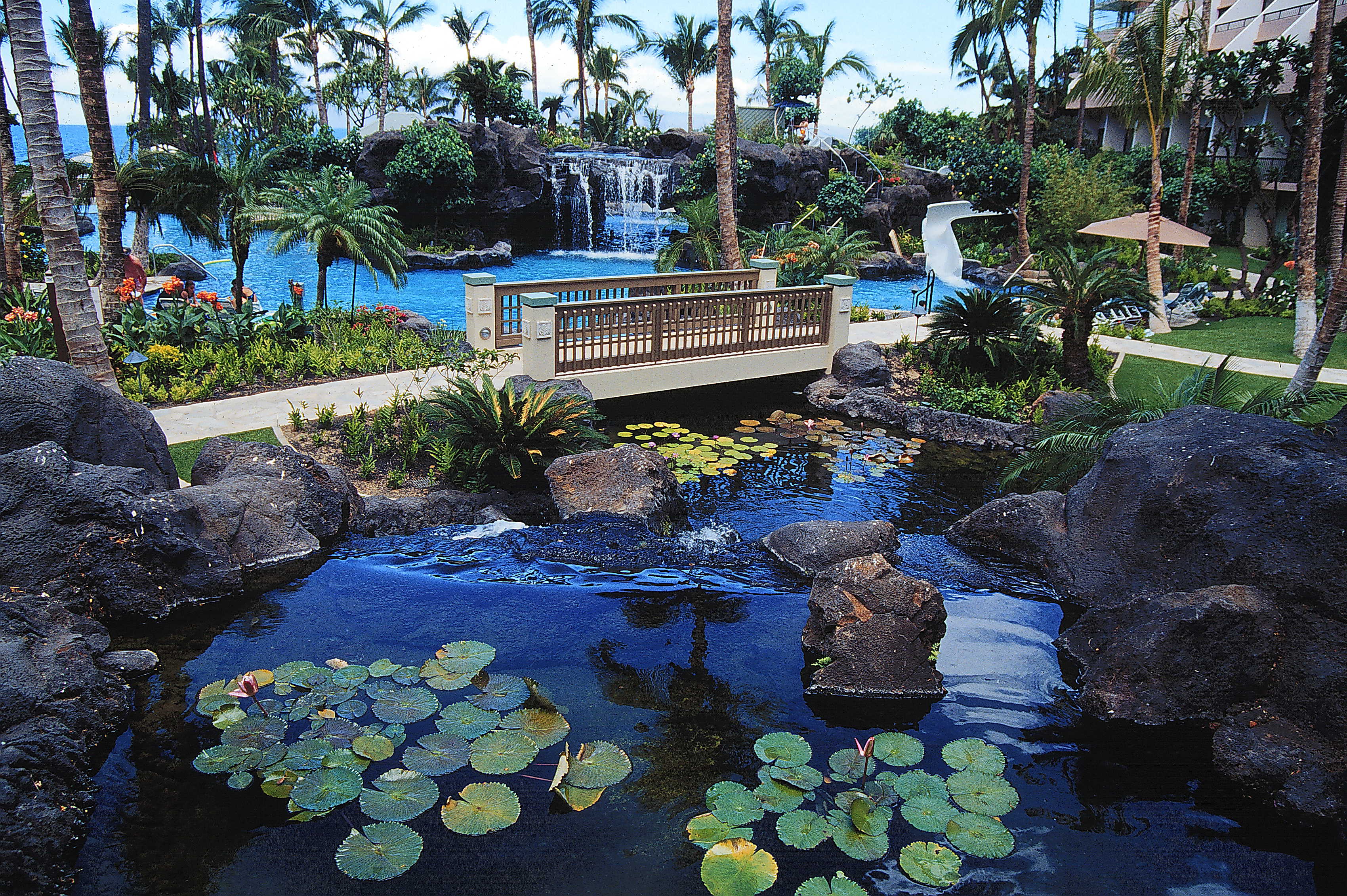 Our Gallery | Pacific AquaScapes Honolulu, Kahului & Kapolei, HI