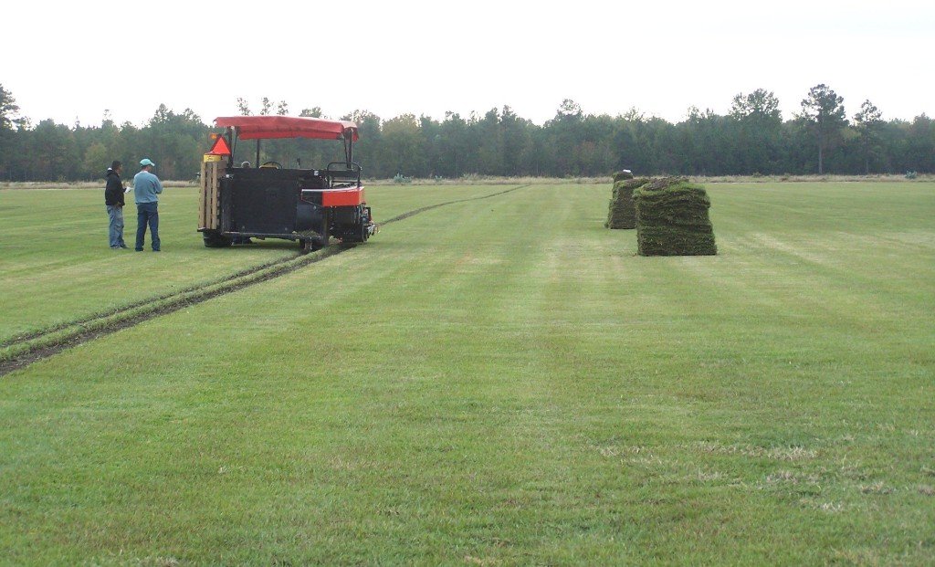 Snowhill Turf Farm - Fayetteville, NC - Contact Us