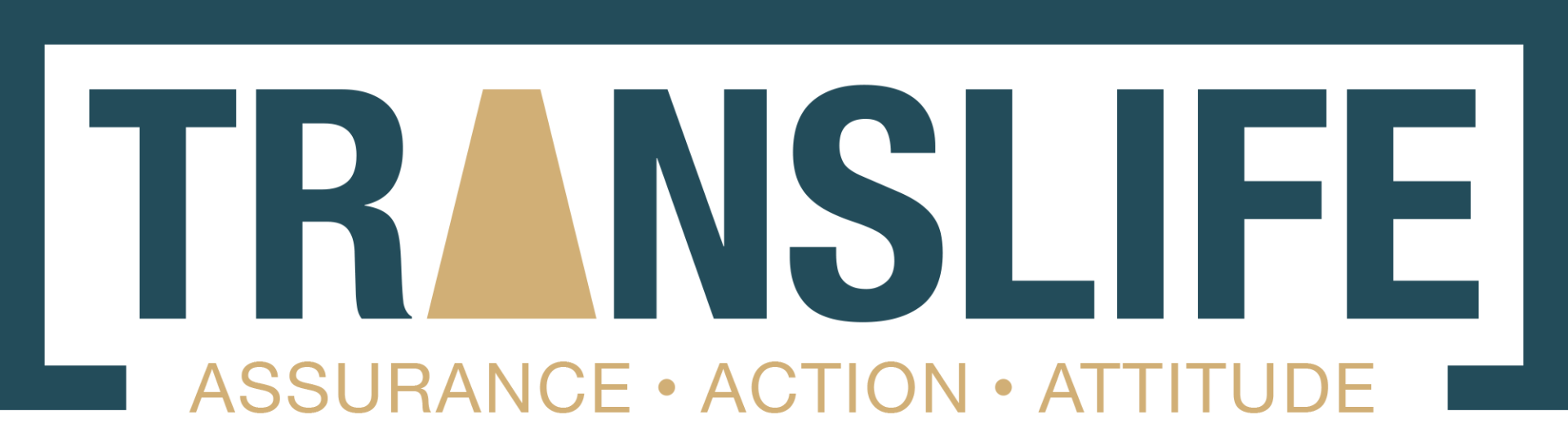 Leading Translation Agency in Malaysia & Singapore - TRANSLIFE