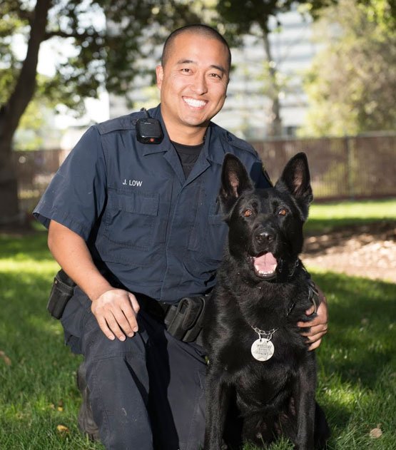 HOME [www.opdk9.com]