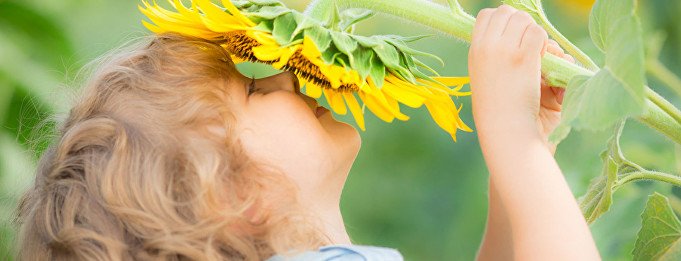 HOME | Dimples Day Nursery and Preschool near Dartford