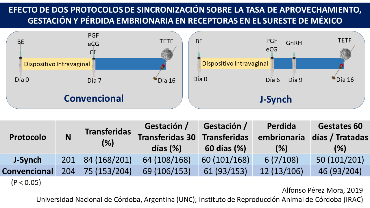 J.Synch y Convencional en TE