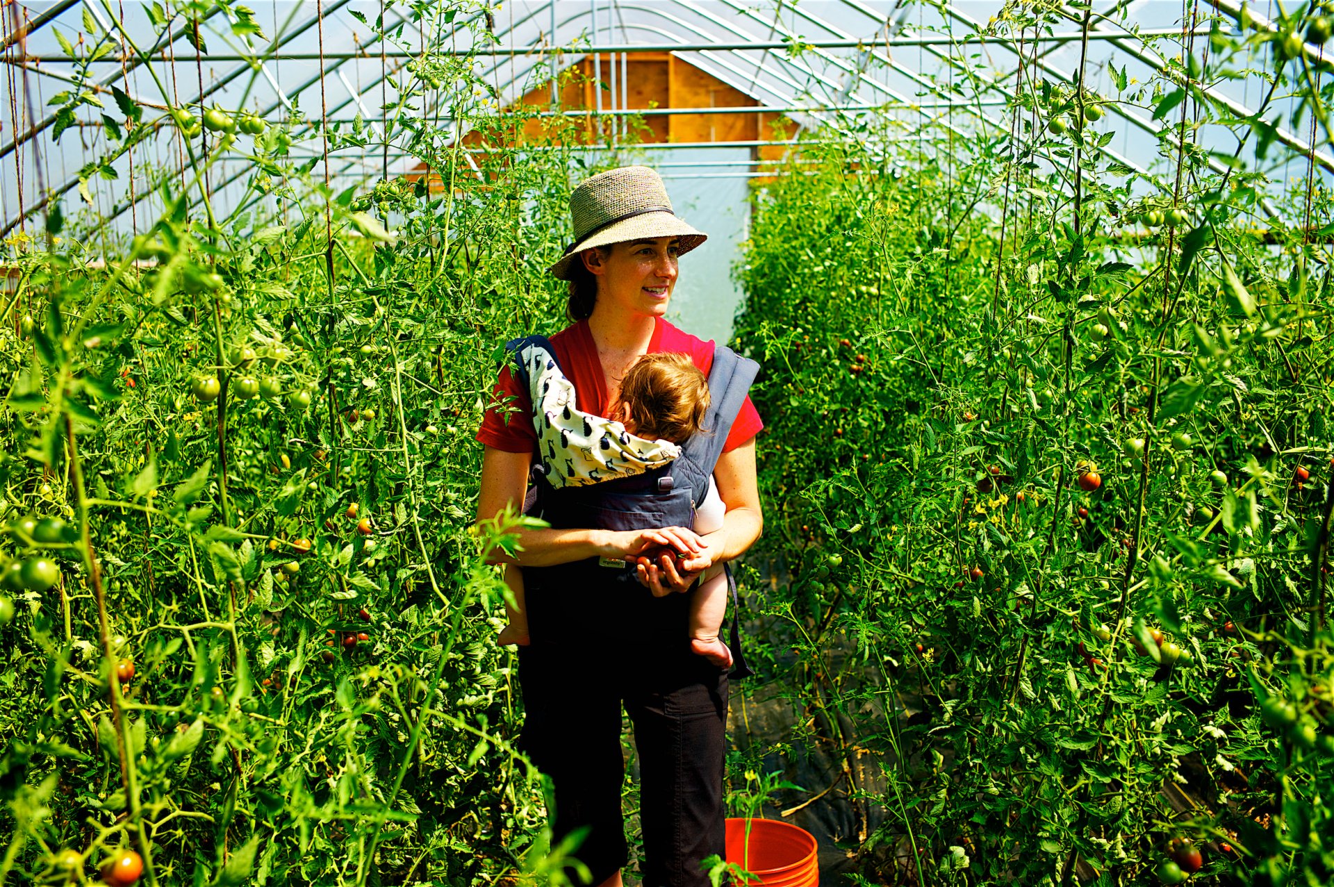Ironwood Farm | NOFA Certified Organic Women-Owned Farm in Ghent NY
