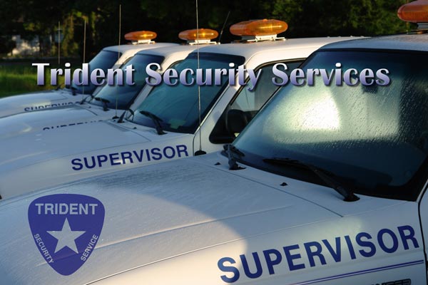 Gallery | Charleston, SC | Trident Security Services