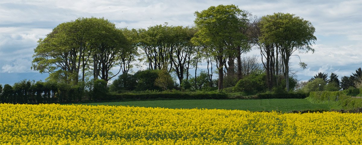 Ballykelly - Causeway Coastal Route