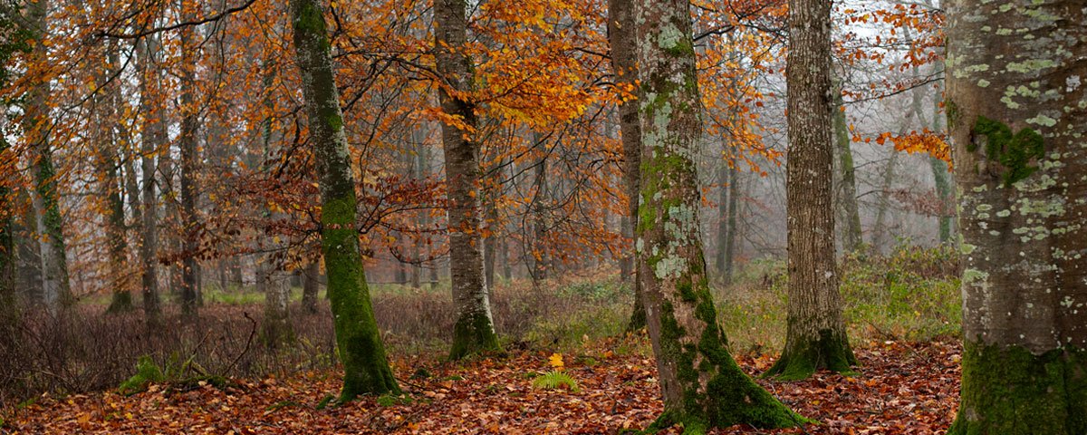 Bann Valley Scenic Route