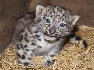 Norfolk & Suffolk Tourist Attractions - Norwich, Norfolk - Animals ...