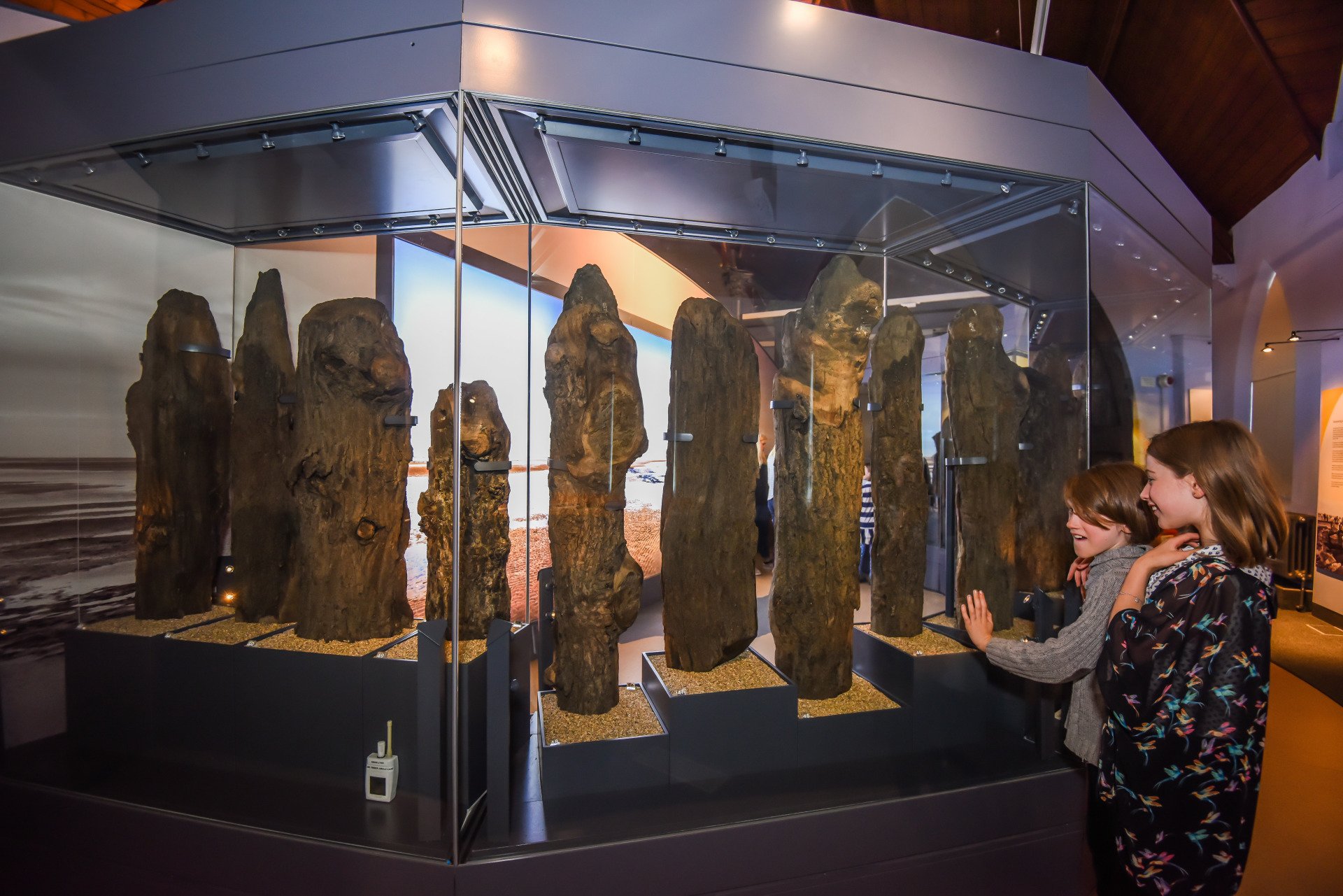 Norfolk & Suffolk Tourist Attractions - Norwich, Norfolk - Museums