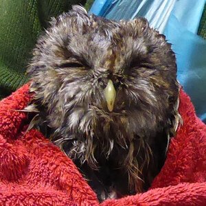 Norfolk & Suffolk Tourist Attractions - Norwich, Norfolk - Animals ...