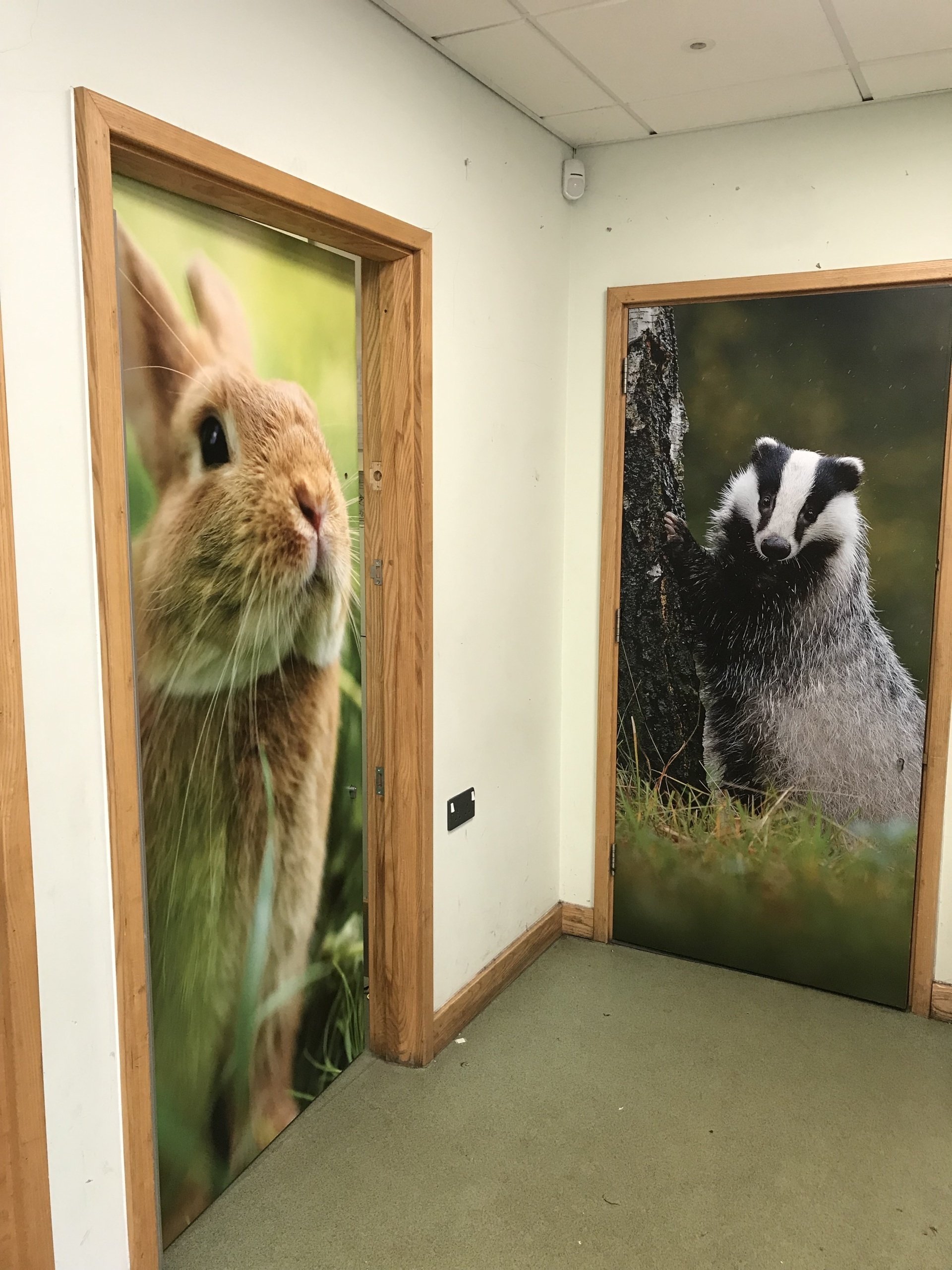 School door cupboard vinyl wrap graphics for your classroom or office